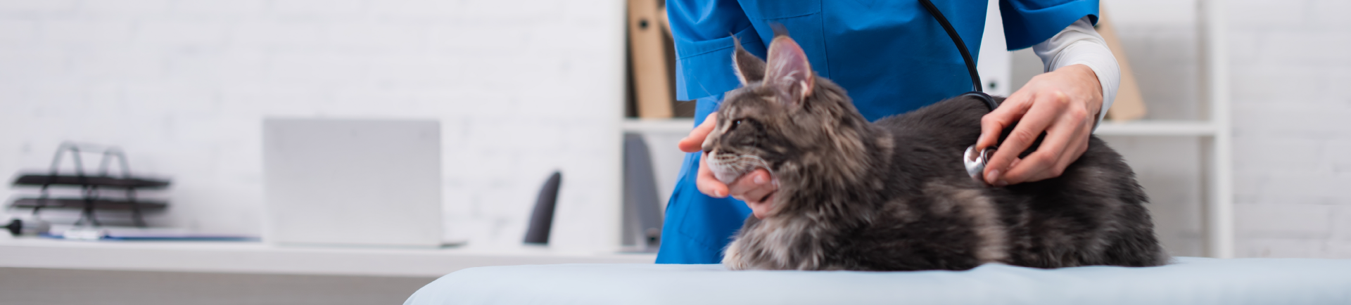 Centrum wiedzy | mojeElanco