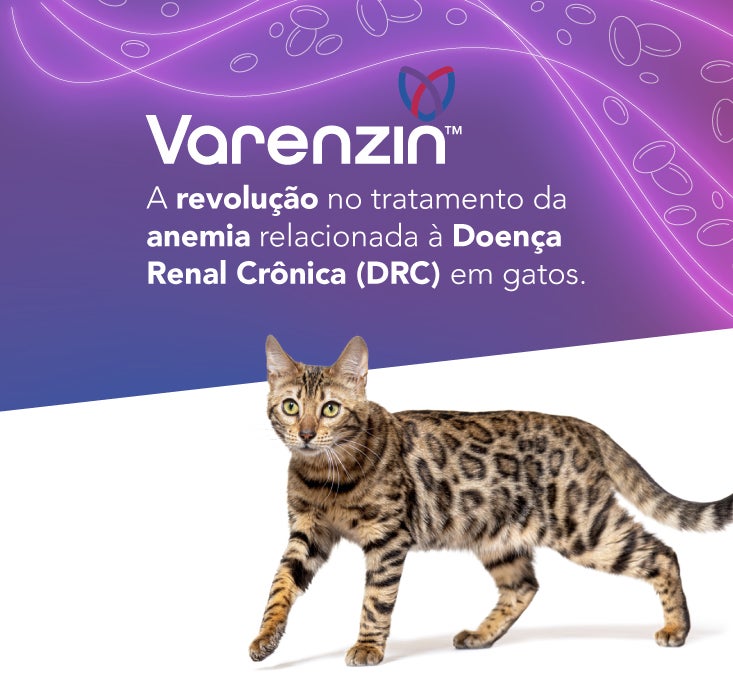 Varenzin™ — Tratamento da Anemia em Gatos com Doença Renal Crônica | br
