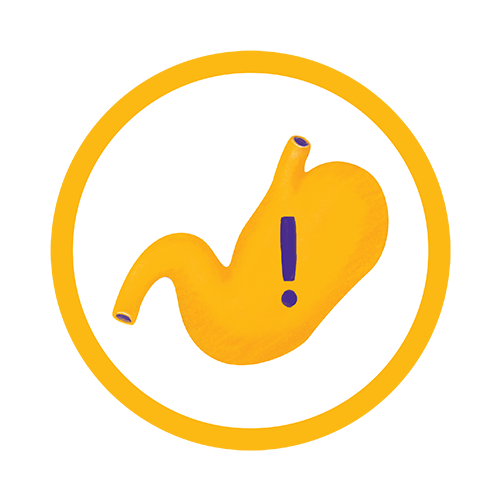 Entyce® (capromorelin oral solution) for inappetence in dogs