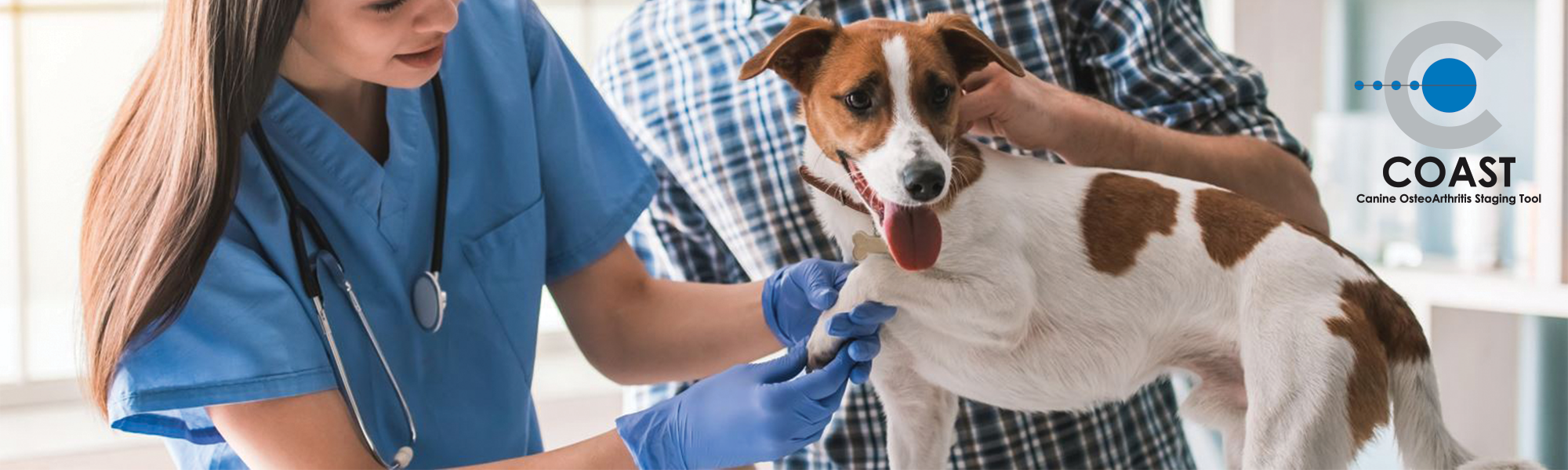 Coast Canine Osteoarthritis Staging Tool