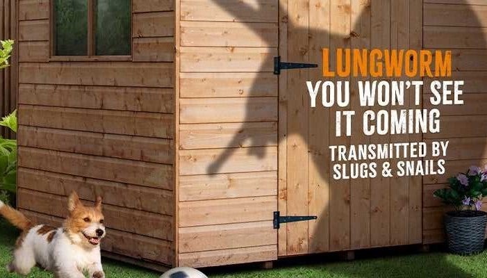 Lungworm and Dogs - Lungworm Map