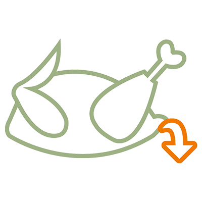 The science behind Gallipro® Fit improving productivity