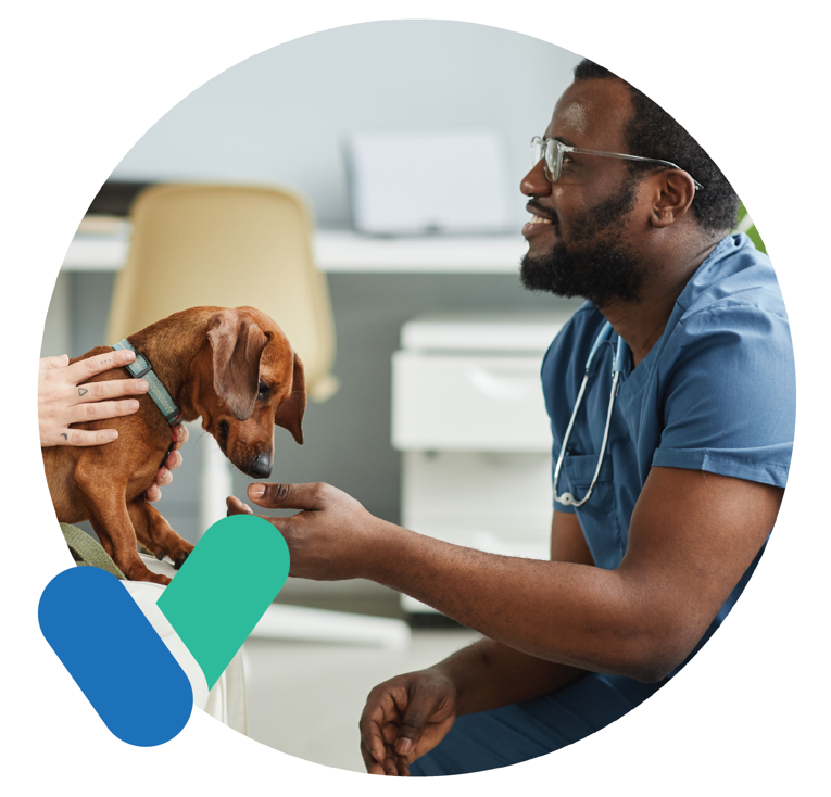 Elanco Vets | br