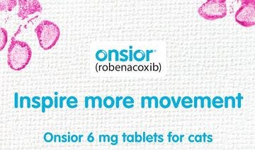Onsior for Cats: for the treatment of pain and inflammation
