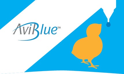 AviBlue™ | protecting in-water vaccines during administration