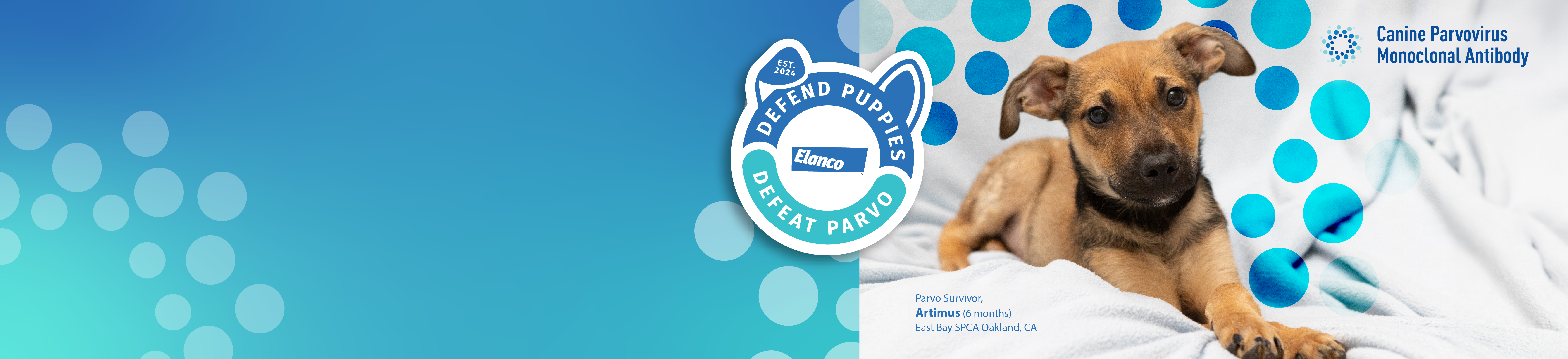 Defend Puppies. Defeat Parvo.