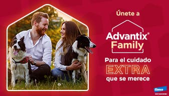 Advantix®, la protección que se merece