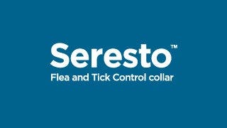 Lifestyle Pet Health Parasite Portfolio from Elanco
