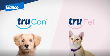 Welcome to happier wellness visits.