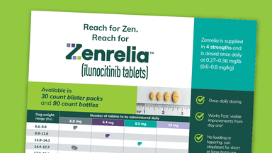Zenrelia™ (ilunocitinib tablets) for Vets