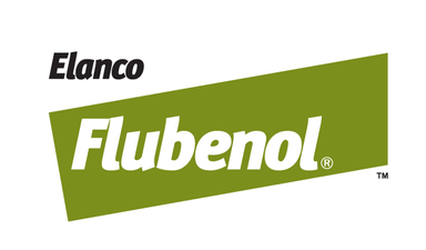 Parasites externes porcs