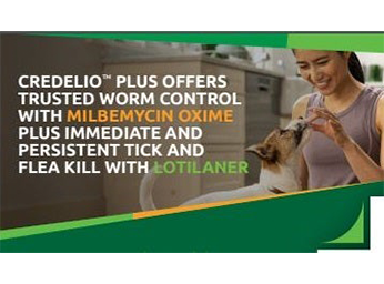 Credelio™ Plus provides all-round parasite control for dogs