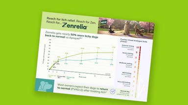 Zenrelia | New once-daily treatment for itchy dogs
