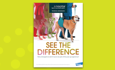 Nocita® for Dogs and Cats | Long-acting pain relief