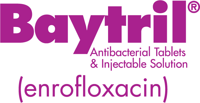 Baytril® Antibacterial Injectable Solution for dogs