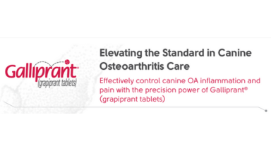 Galliprant® | Targeted canine OA pain relief