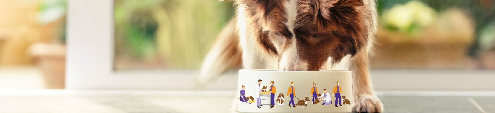 Entyce® (capromorelin oral solution)