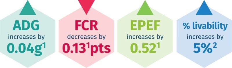 Intestinal Integrity is key to broiler performance