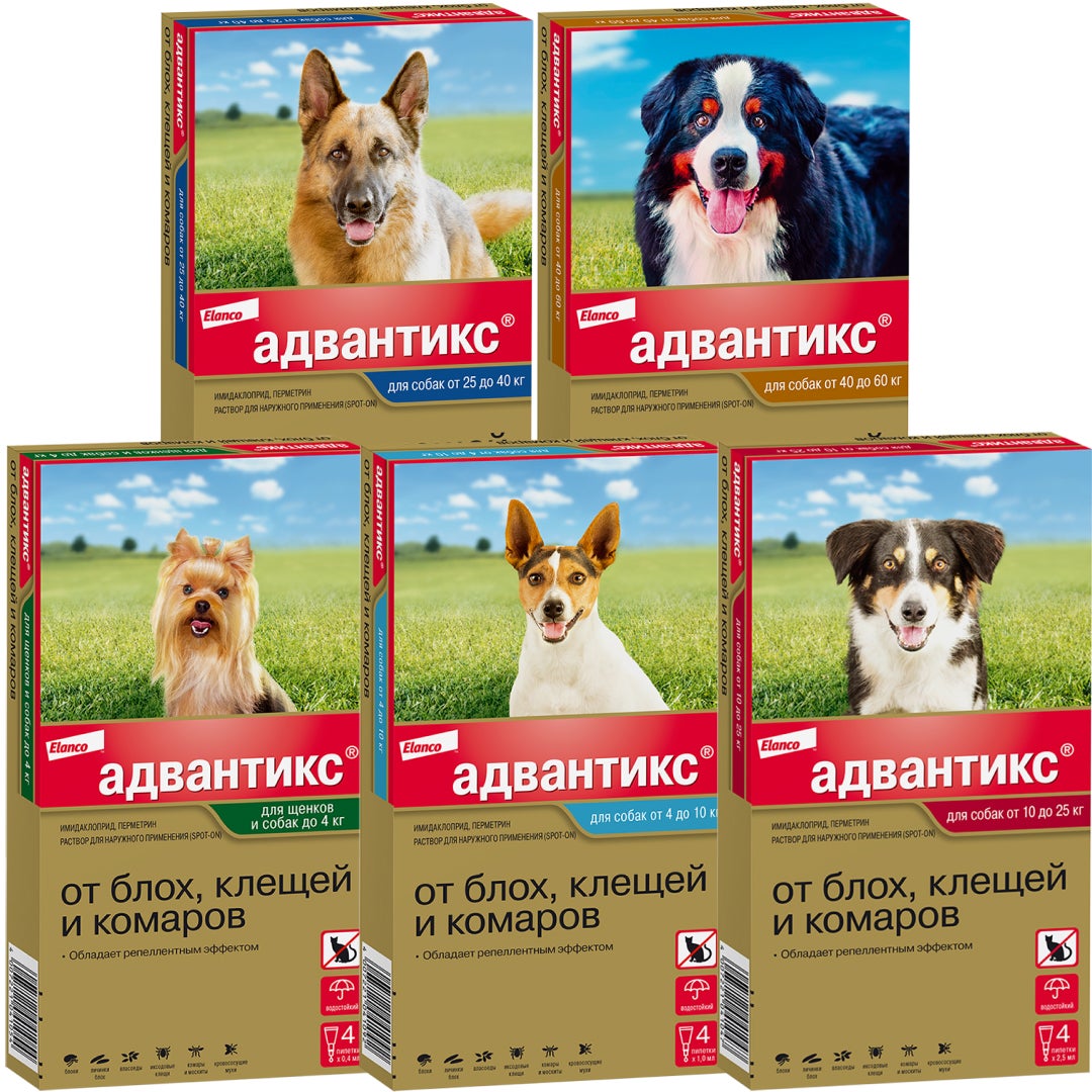 Адвантикс® – капли на холку для собак | myElanco в России