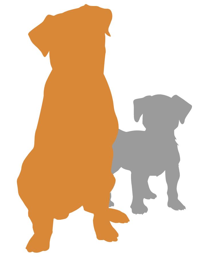 Advantage Multi® Köpek