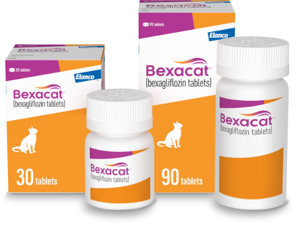 Bexacat™ (bexagliflozin tablets)