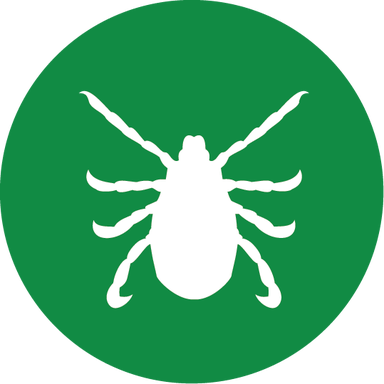 Credelio Quattro - Make More Dogs Quattro Dogs