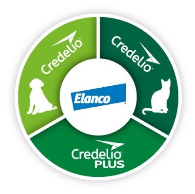 Credelio chewable tablets for fast flea & tick protection