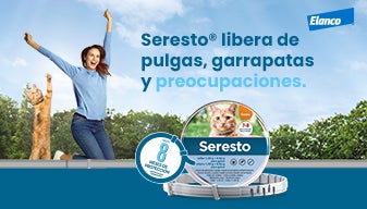 Seresto Gatos