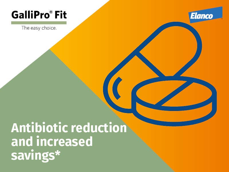 GALLIPRO FIT download antibiotic reduction infographic