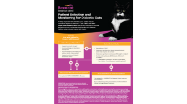 Bexacat™ (bexagliflozin tablets)