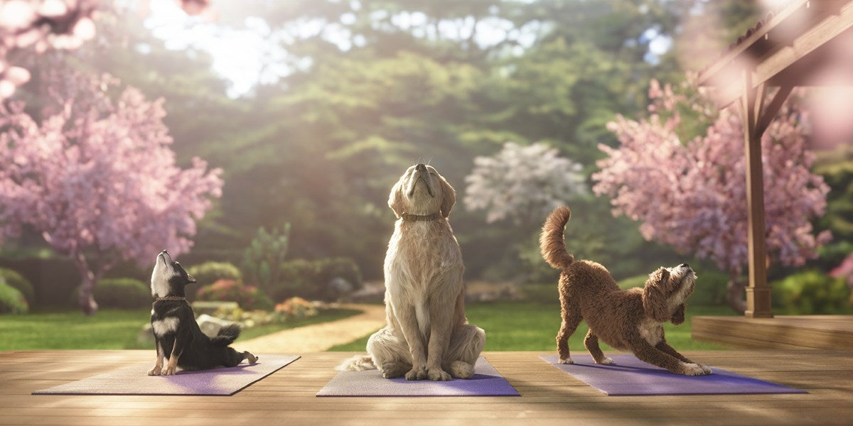 Zenrelia | New once-daily treatment for itchy dogs