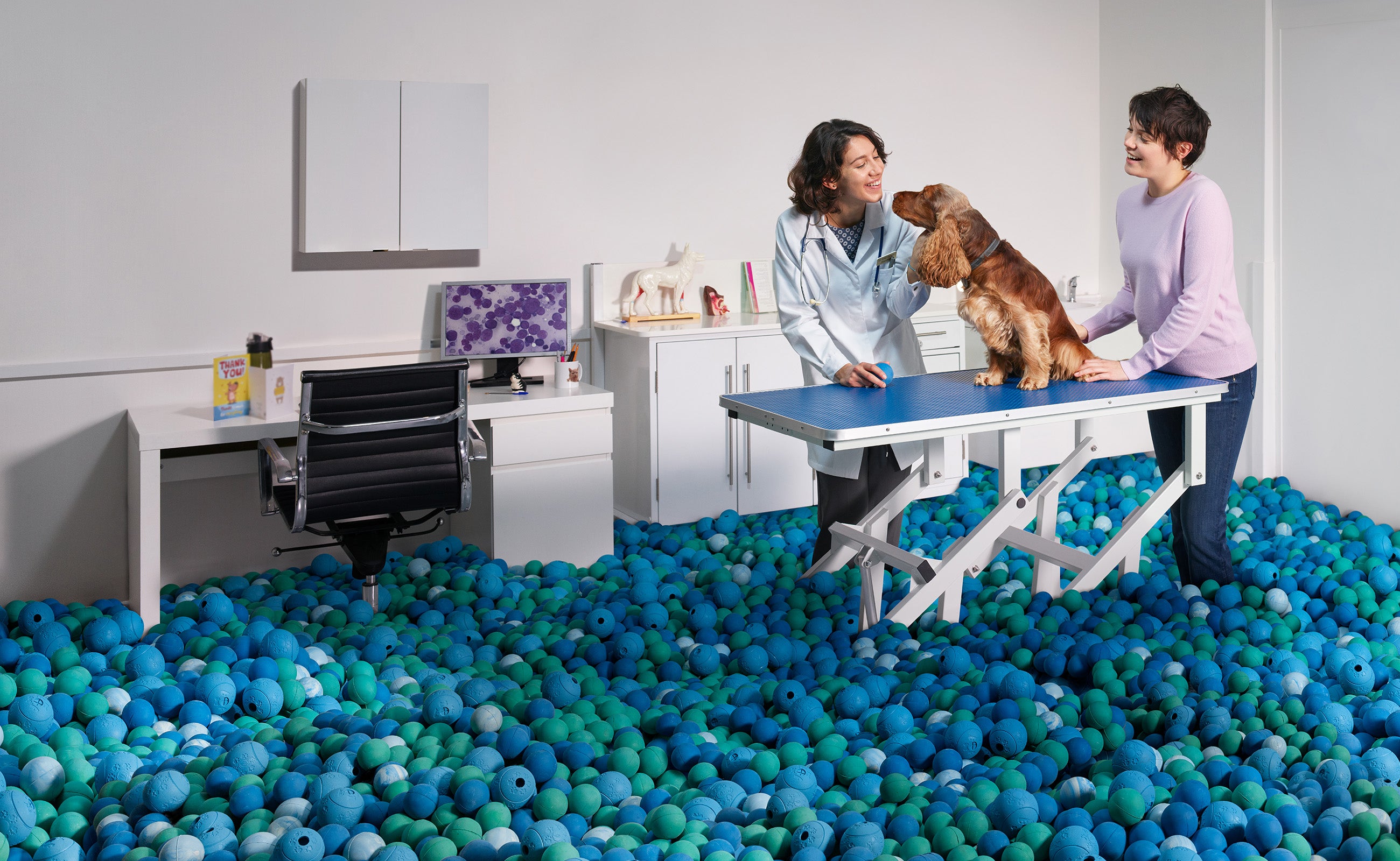 Tanovea® (rabacfosadine for injection)