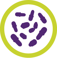 Neptra for Treating Otitis Externa (OE) in Dogs