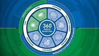 Interceptor® Plus for Dogs — Treats Dangerous Worms