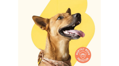 Interceptor® Plus for Dogs — Treats Dangerous Worms