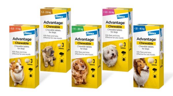 Advantage Chewable fast-acting flea and tick treatment