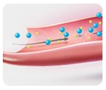 ONSIOR® for Cats | Treat postoperative pain