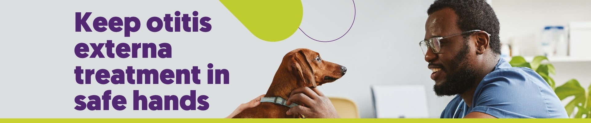 Neptra for Treating Otitis Externa (OE) in Dogs