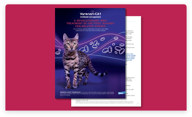 Varenzin™-CA1 for cats | Manage CKD-related anemia