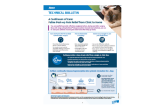 Zorbium® (Buprenorphine Transdermal Solution) for Cats