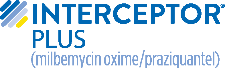 Interceptor® Plus for Dogs — Treats Dangerous Worms