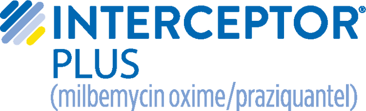 Interceptor® Plus for Dogs — Treats Dangerous Worms
