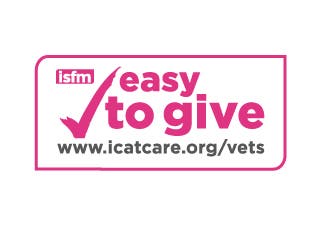 Onsior for Cats: for the treatment of pain and inflammation