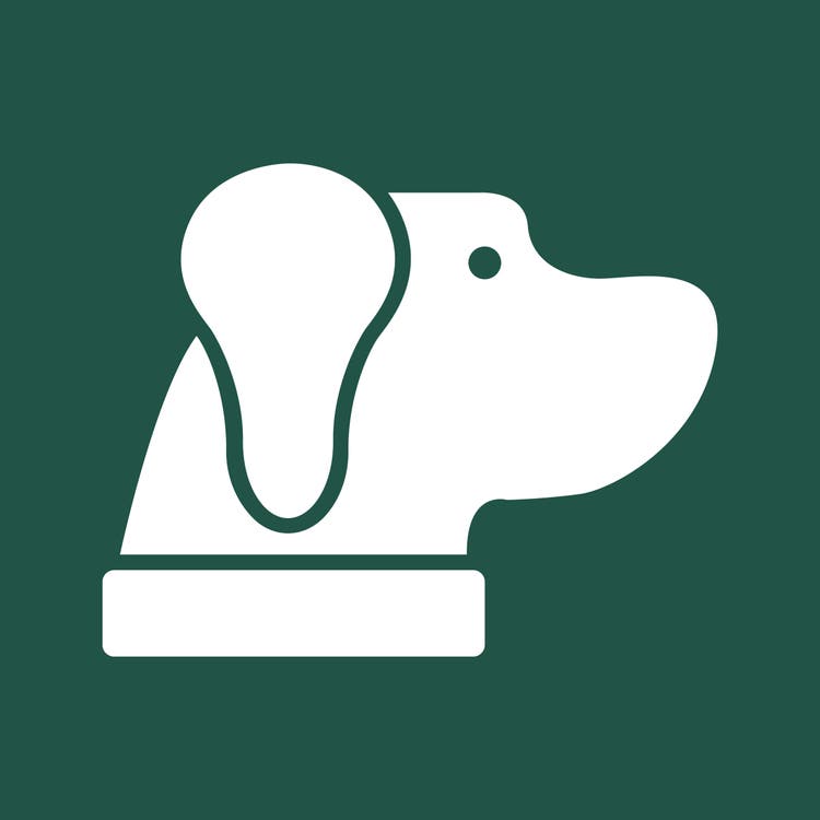 Zenrelia™ (ilunocitinib tablets) for Vets