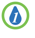 Zorbium™ (buprenorphine transdermal solution)