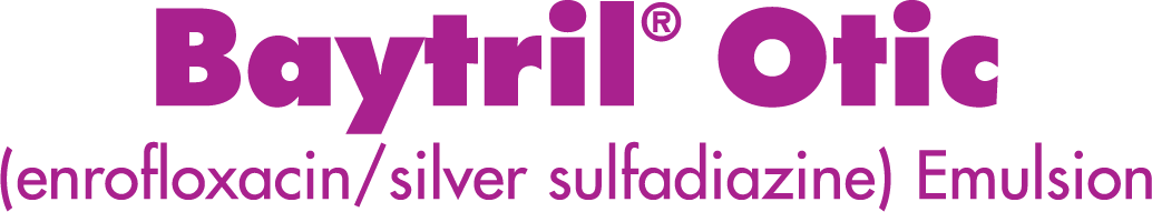Baytril® Otic Emulsion for tough canine otitis externa