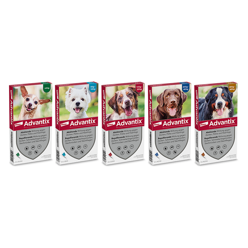 Advantix® Spot-on für Hunde | Elanco