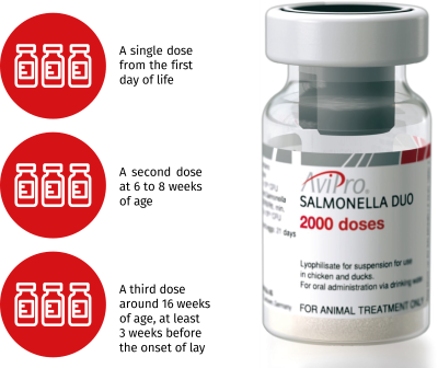 AviPro live poultry vaccination guidelines