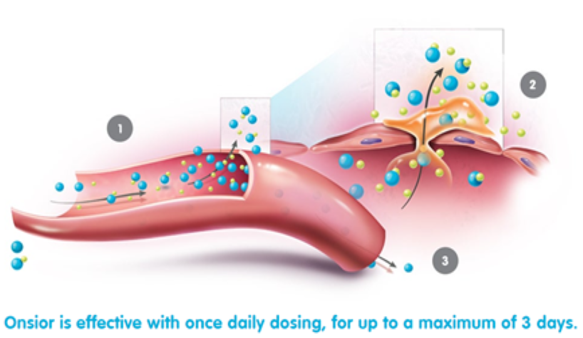 ONSIOR® for Cats | Treat postoperative pain