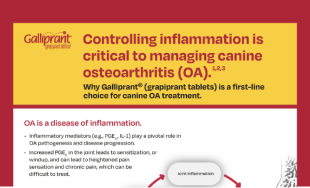 Galliprant® | Targeted canine OA pain relief